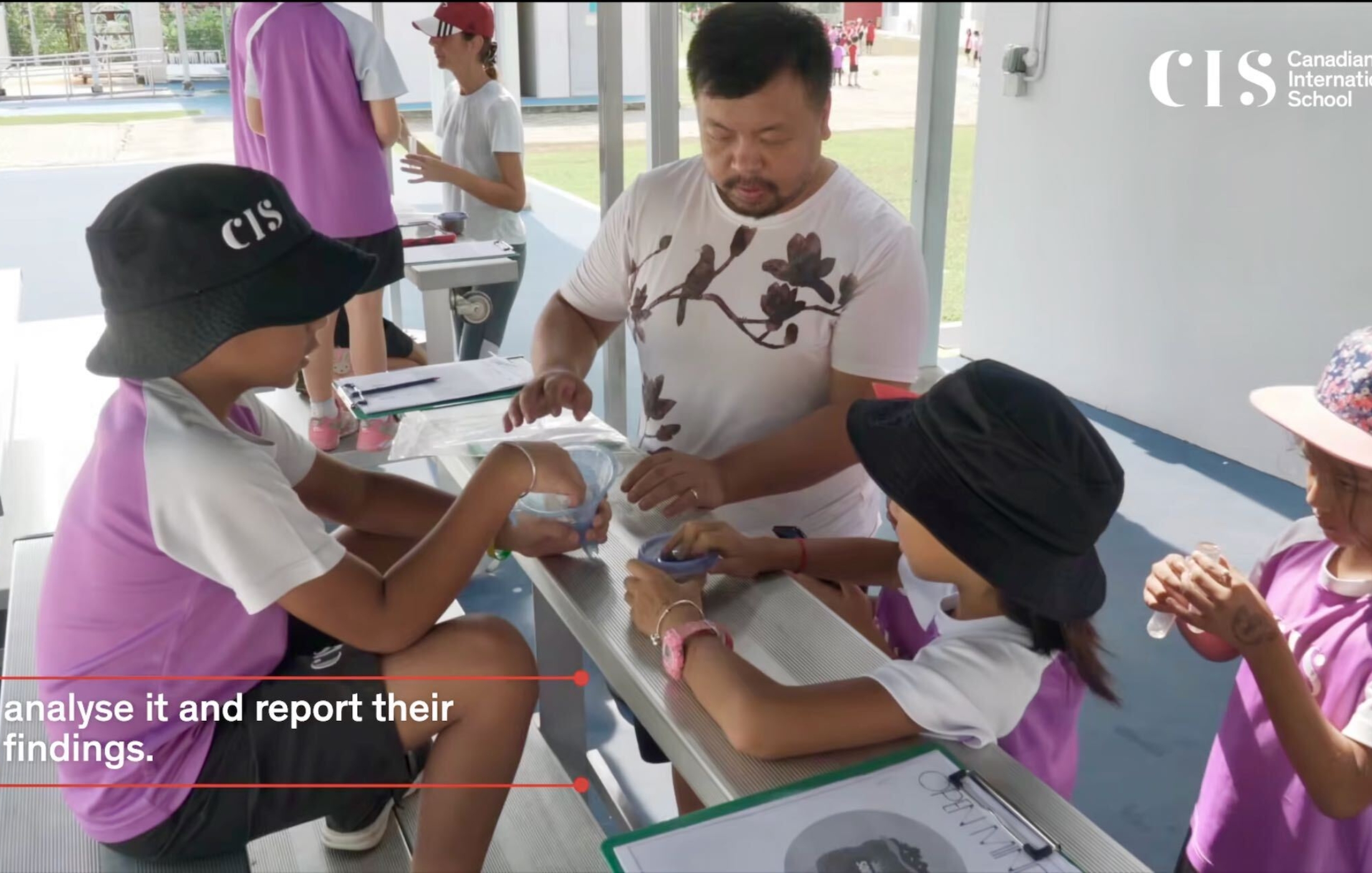 IB Grades - School Age & Grade Guidelines