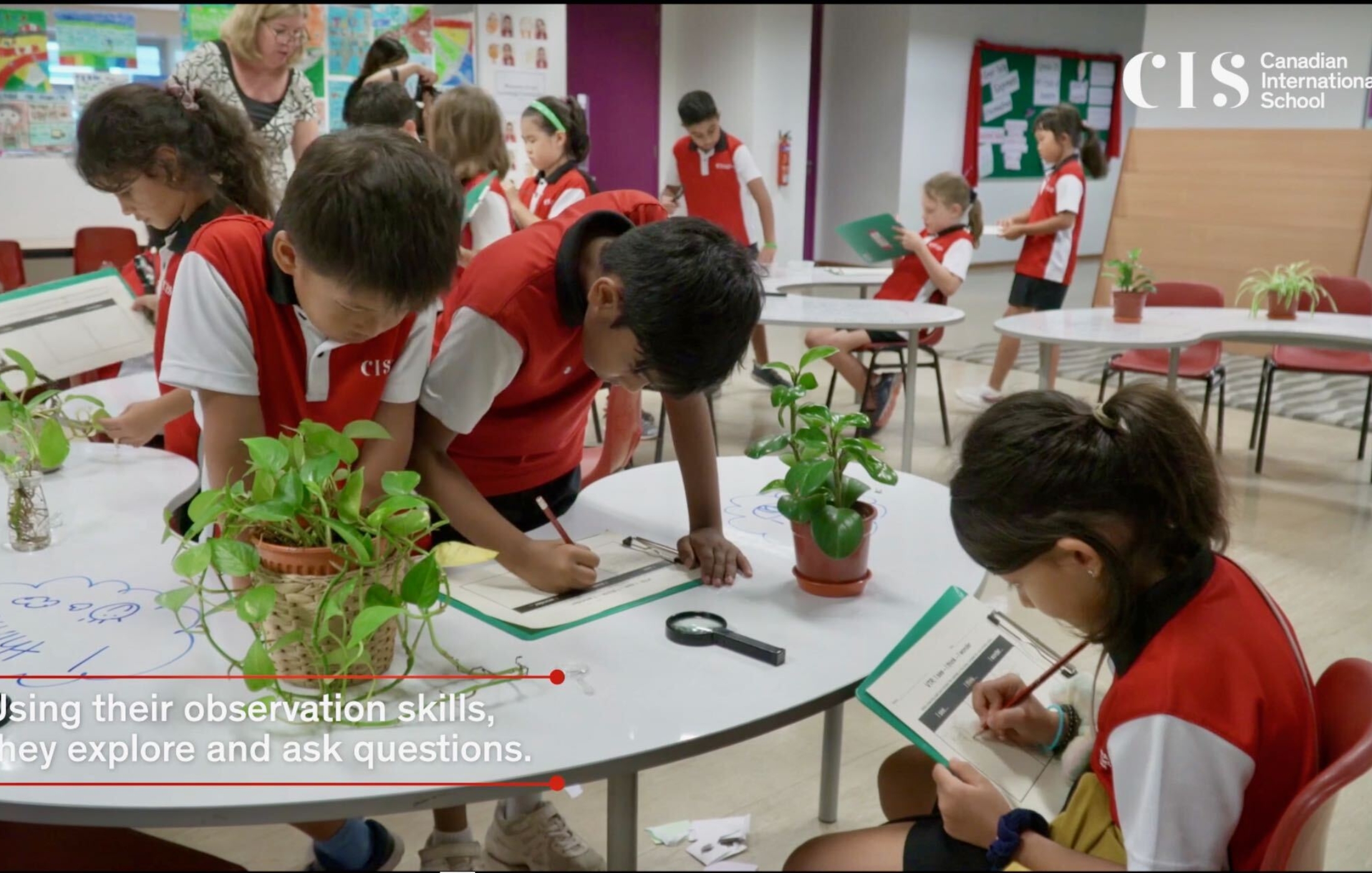 Primary School in Singapore | Canadian International School