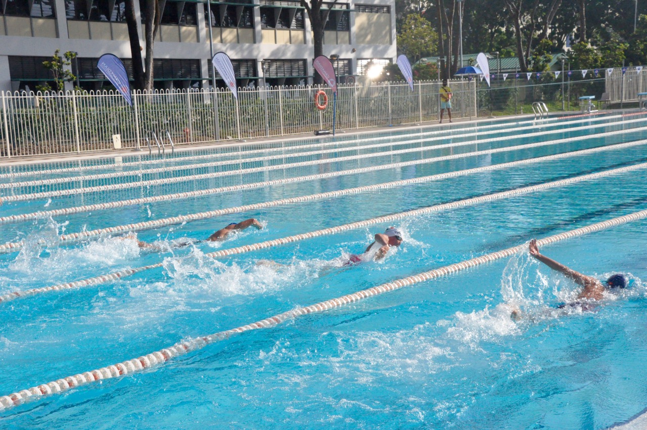 CIS Husky Swimmers are Champions Again! | CIS Mosaic
