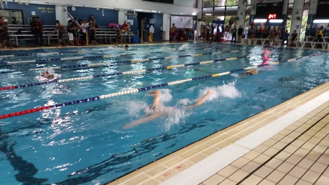 Huskies Swim Team’s Victory in Hong Kong | CIS Mosaic