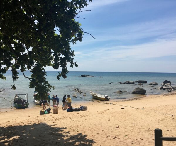 A field trip to Tioman Island | CIS Mosaic