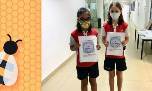 The grade 6 Buzz | CIS Mosaic