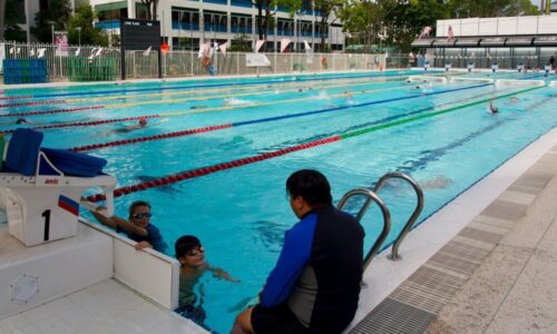 CIS is given a fresh look! | CIS Mosaic